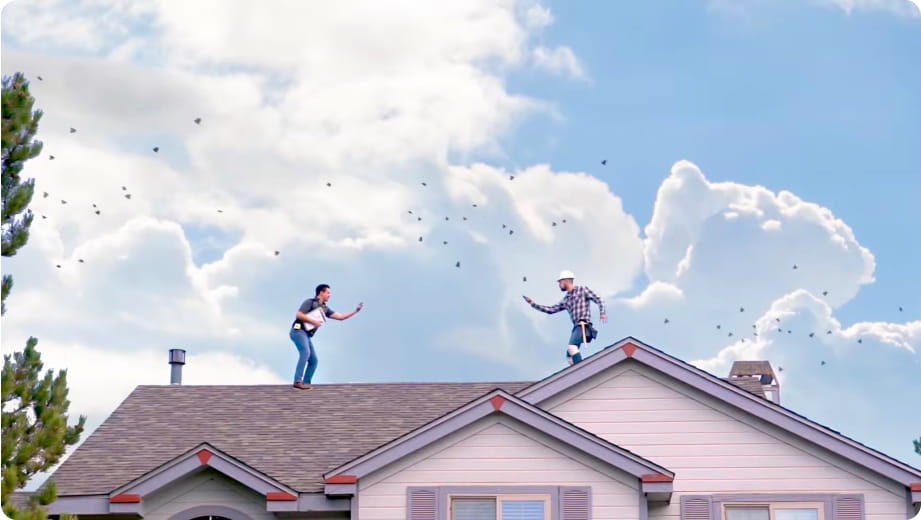 OneClick Code: Building Code Software | Try for Free